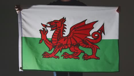 Welsh Flag Animation