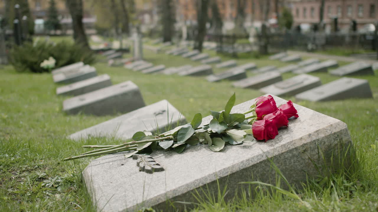 Premium stock video - Side view of red roses on tombstone in a gravevard 1