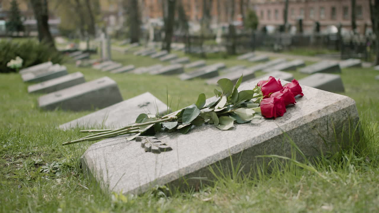 Premium stock video - Zoom in of red roses on tombstone in a gravevard