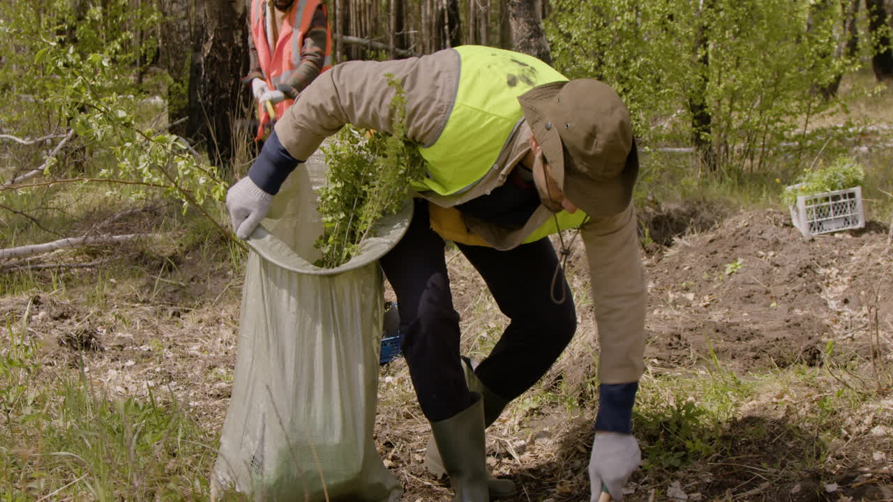 Free stock video - Caucasian man activist carrying small trees in a ...