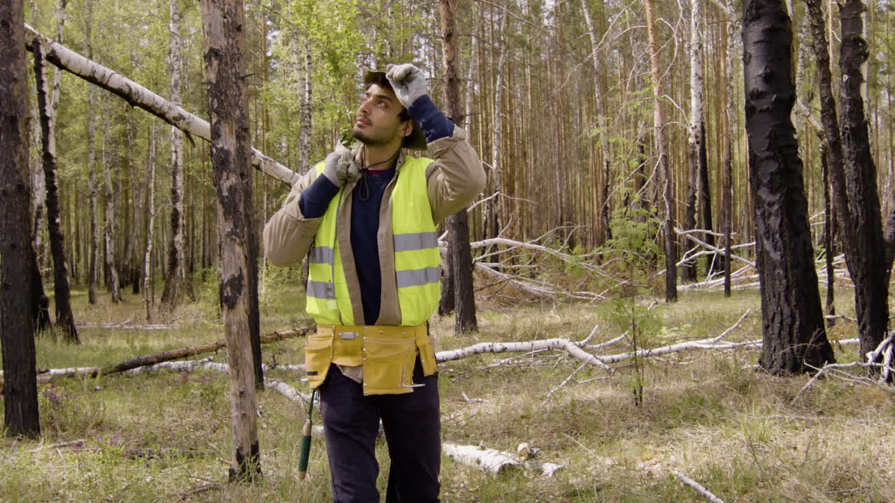 Free stock video - Caucasian man activist carrying small trees in a ...