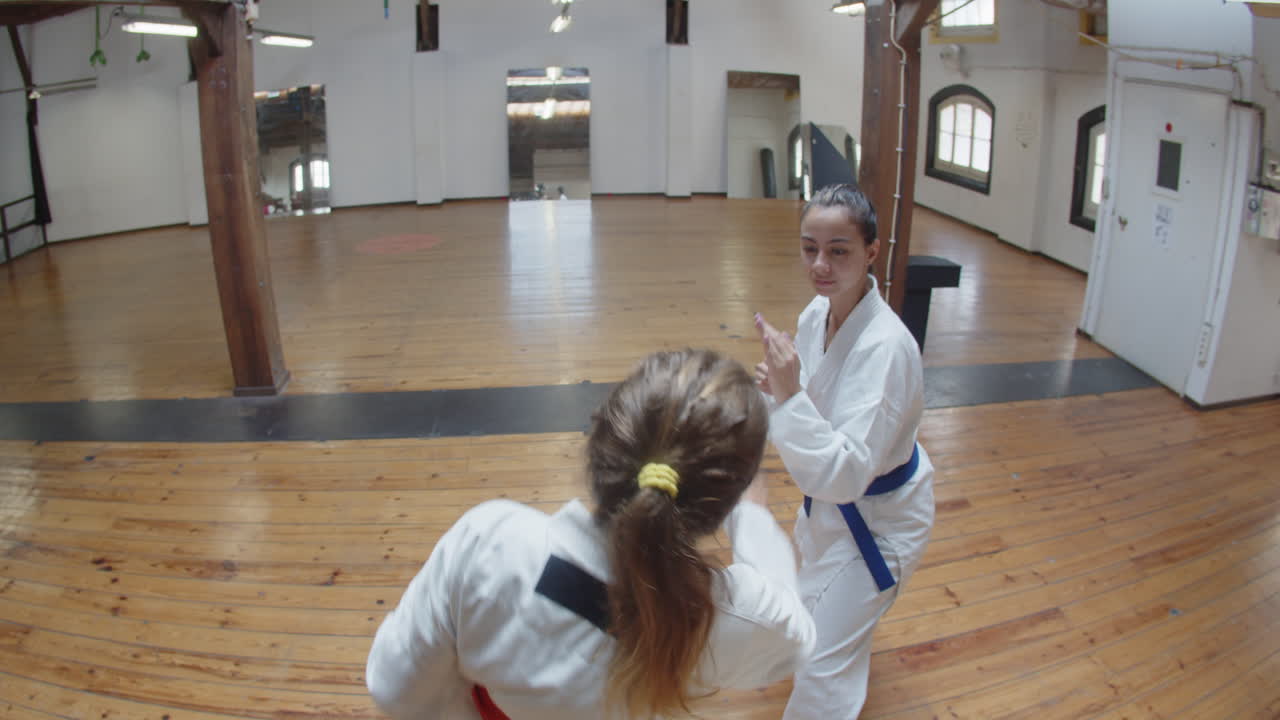 Free stock video - Shot of focused fighting girls from above
