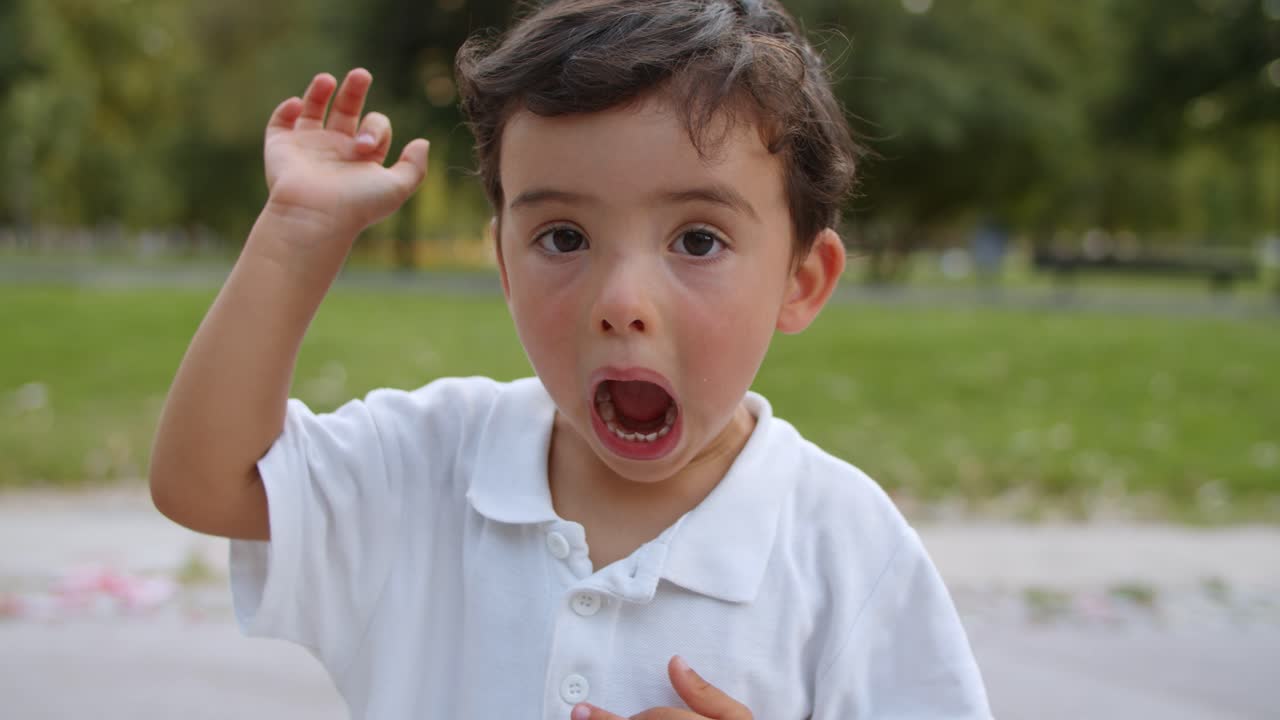 Free stock video - Sweet funny little boy standing and posing in summer ...