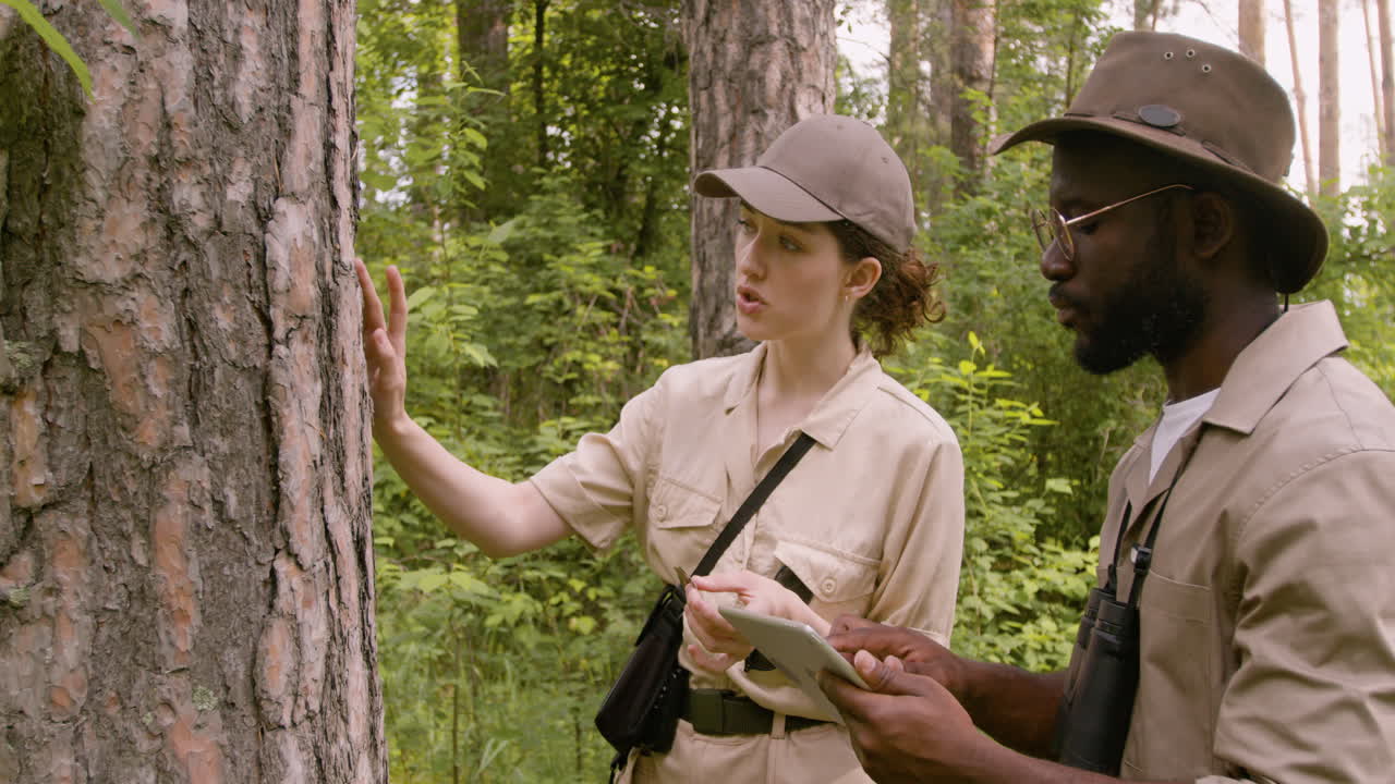 Vídeo Gratis - Guardabosques caucásicos y afroamericanos que examinan ...