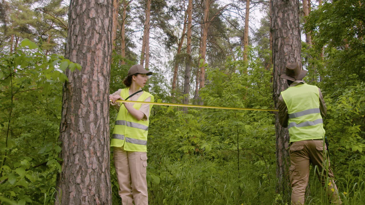 Free stock video - Caucasian and african american forest wardens ...