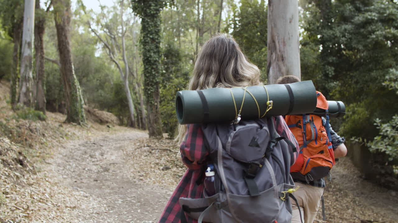 Free stock video - Couple of backpackers walking on forest footpath