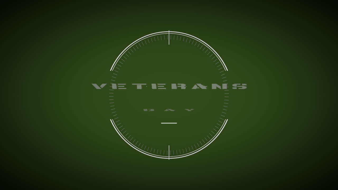Premium stock video - Veterans day with aim on green background