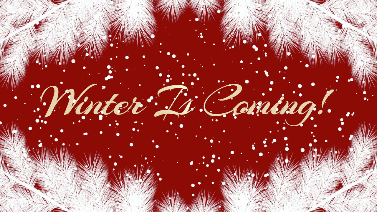 Premium stock video - Winter is coming with fly snow in sky 1