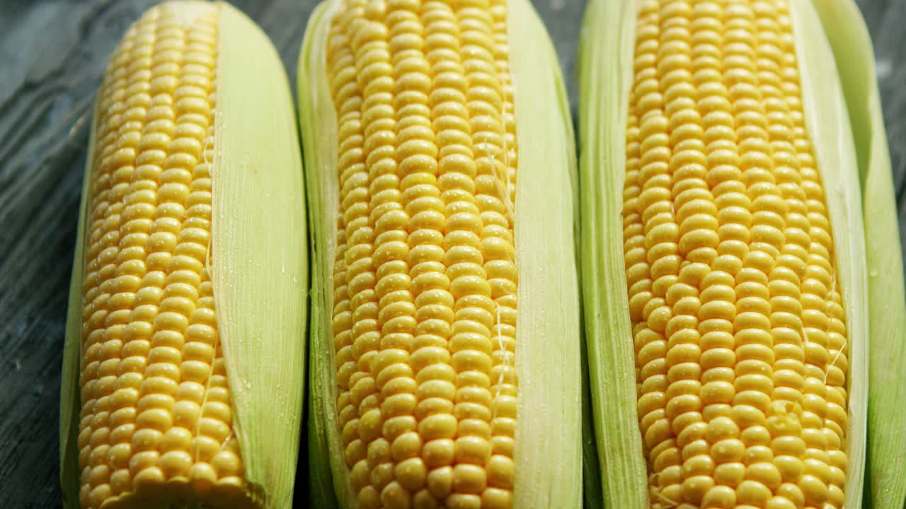 Vídeo de arquivo Premium - Milho fresco em folhas