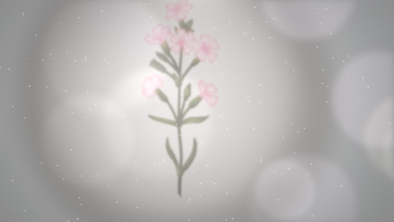 Premium stock video - Closeup flowers with motion wedding background 6