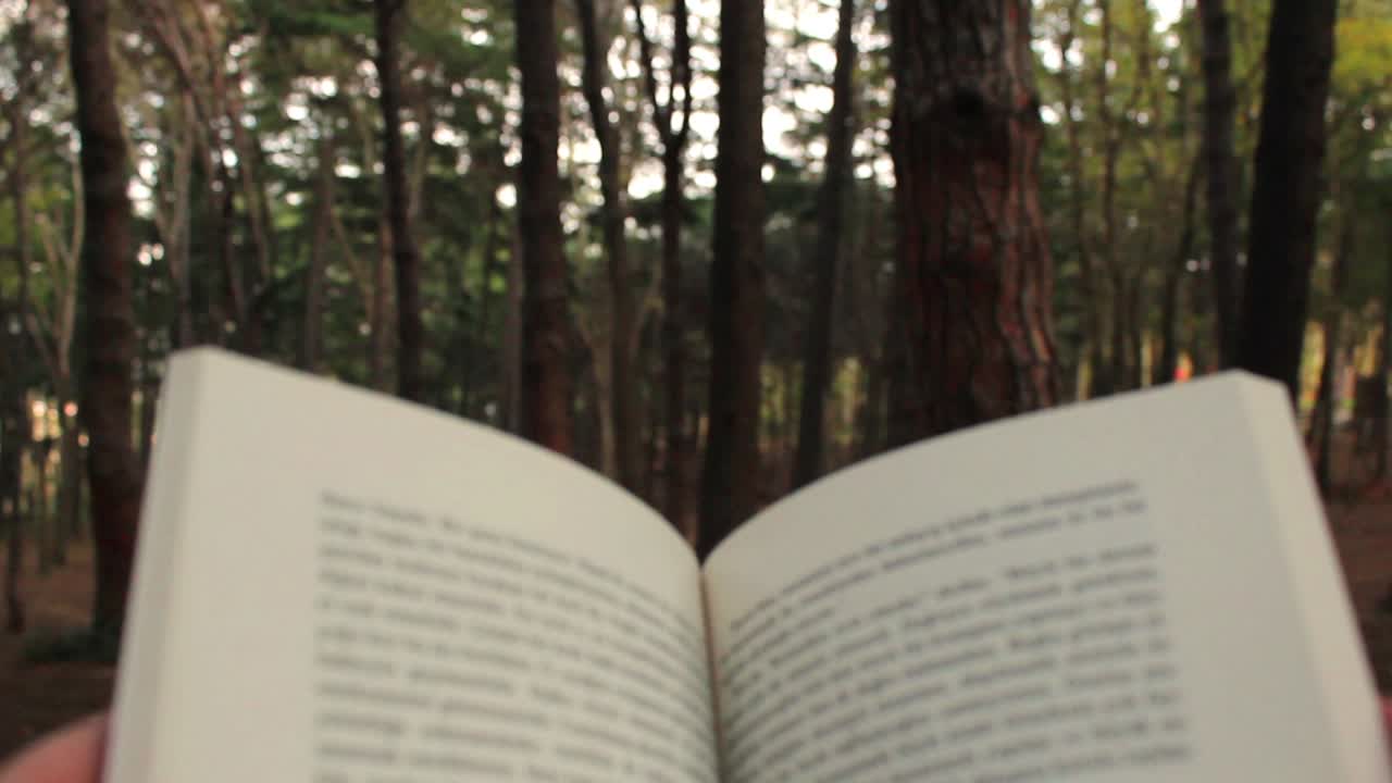 Premium stock video - Closeup view of reading book sitting in forest