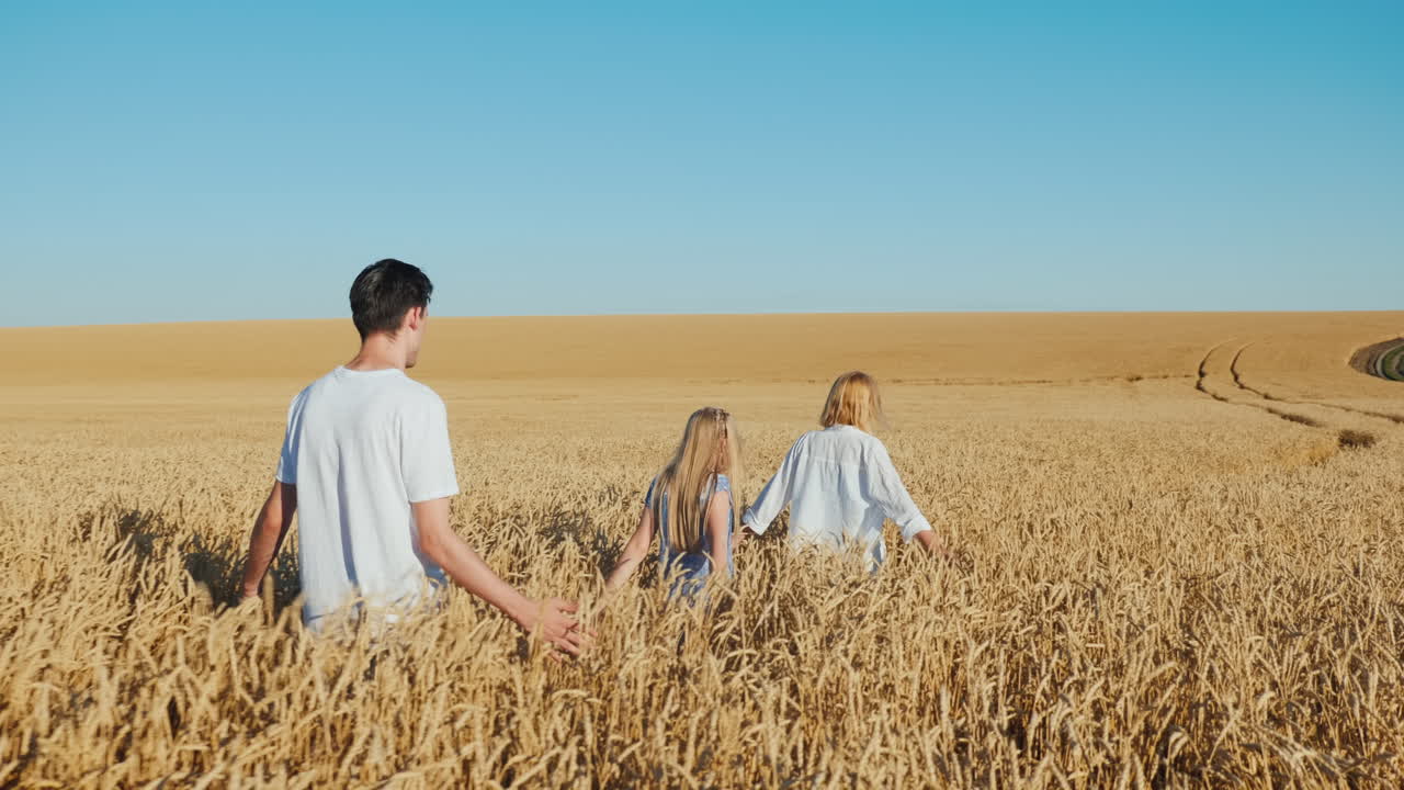 Premium stock video - Family with a child walks on a wheat field
