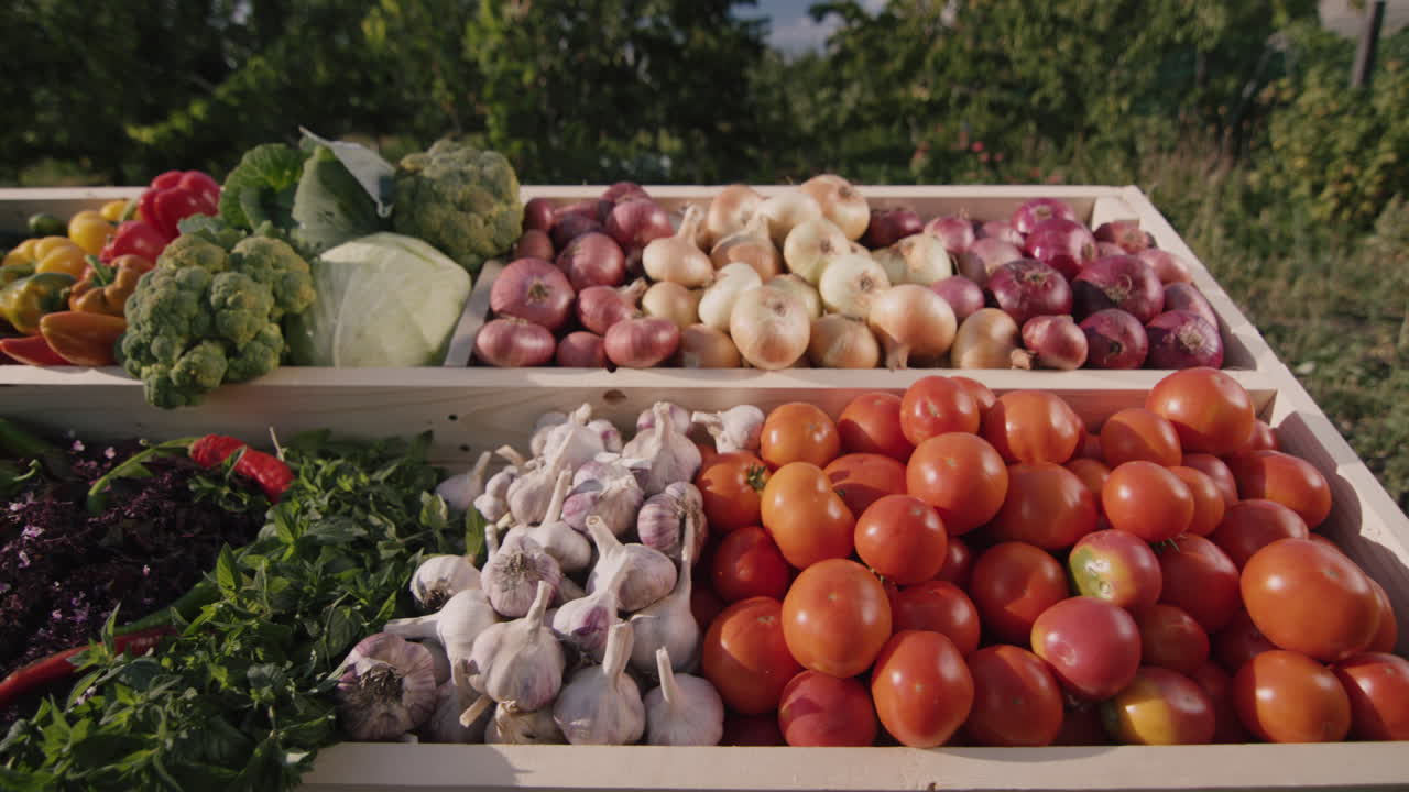 Premium stock video - Vegetable counter at farmers market 5