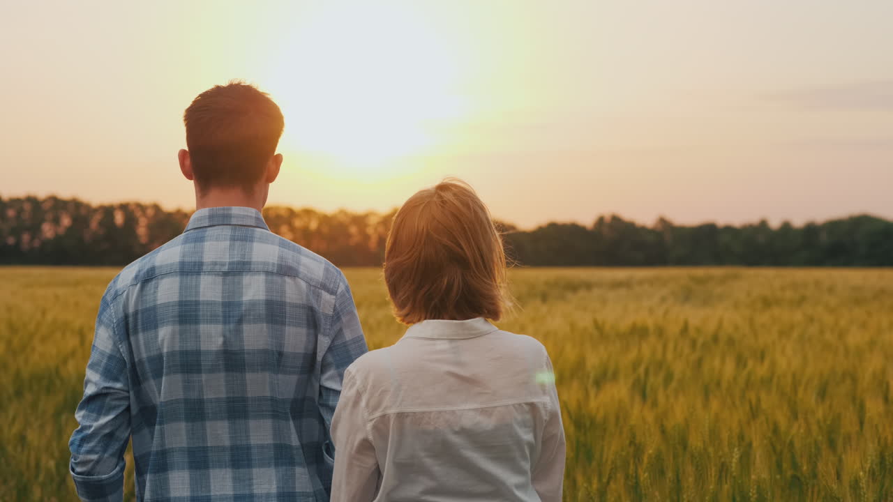 Premium stock video - Two farmers stand in a field of wheat against a ...