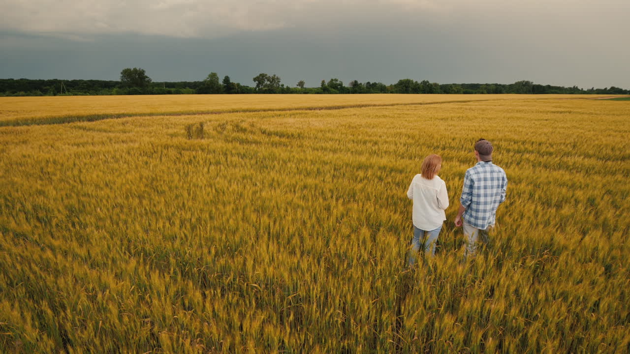 Vídeo Premium - Dos granjeros se paran en un campo de trigo contra un ...