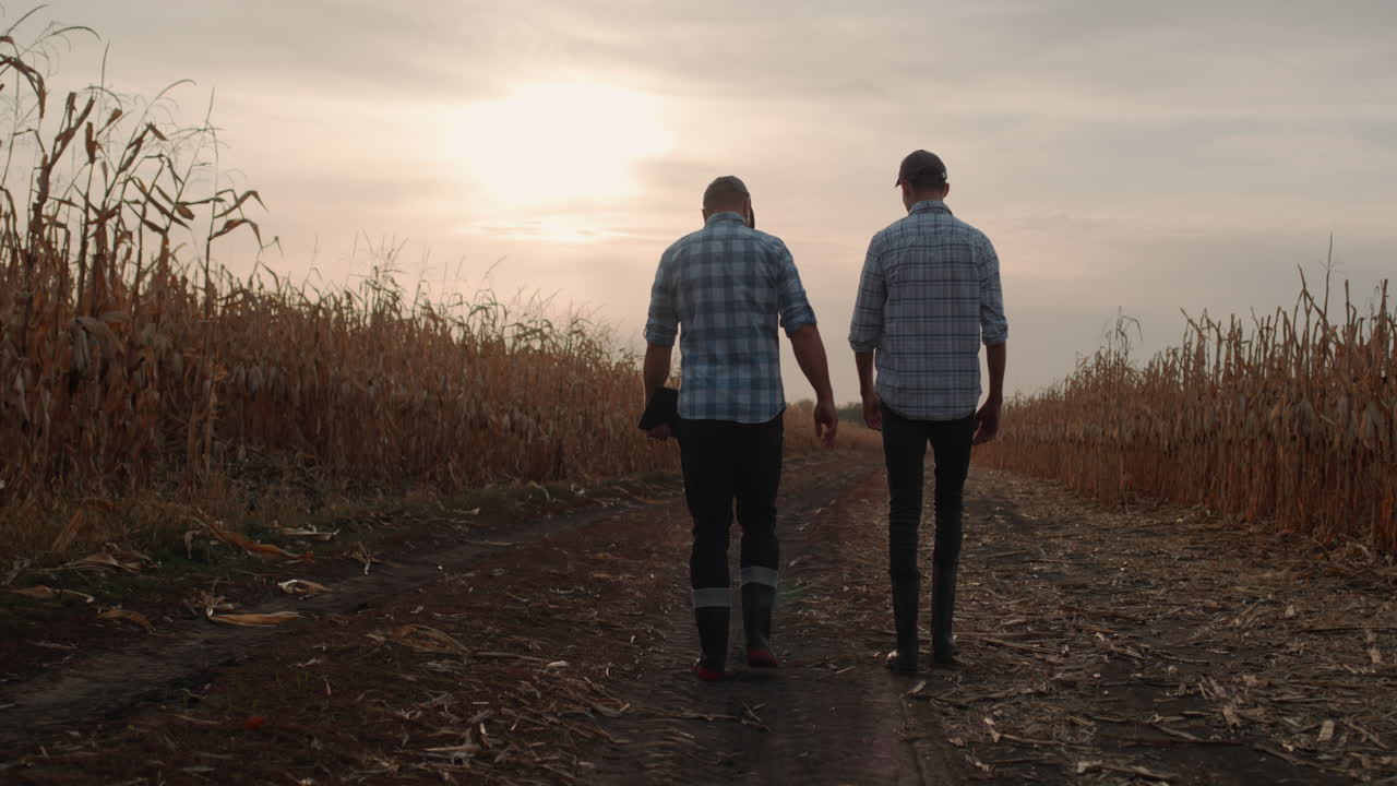 Premium stock video - Two farmers walk along the road between the ...