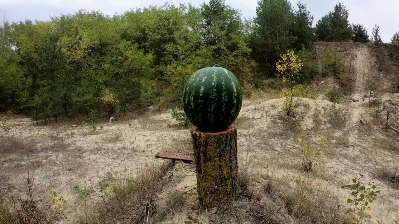 Premium stock video - A watermelon is shot and explodes into small pieces 2