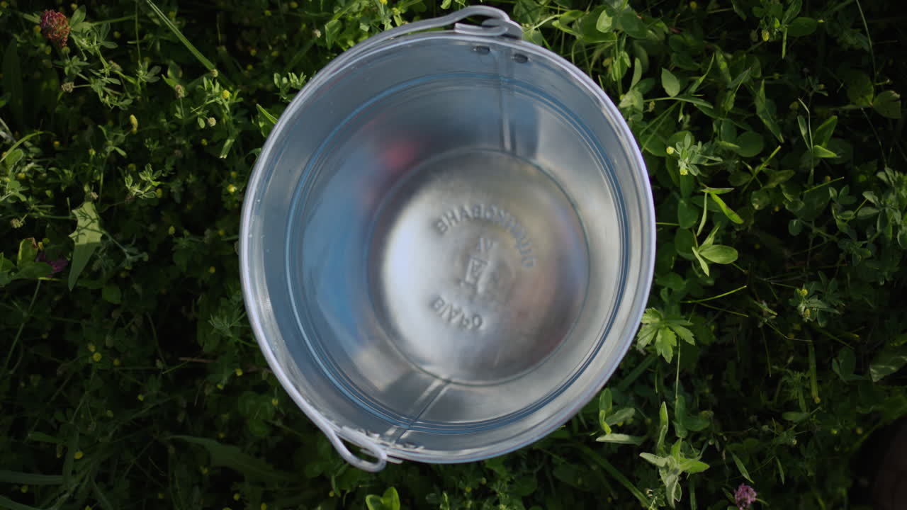 Premium stock video - Milk is poured into a bucket 2