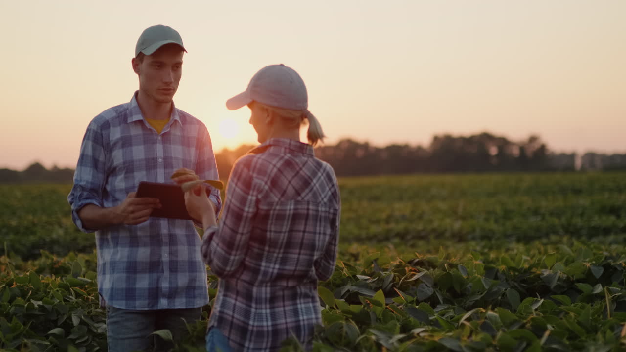 Premium stock video - Farmers - a man and a woman communicate in a ...