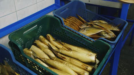 Fish Boxes Stock Video Footage For Free Download HD & 4K