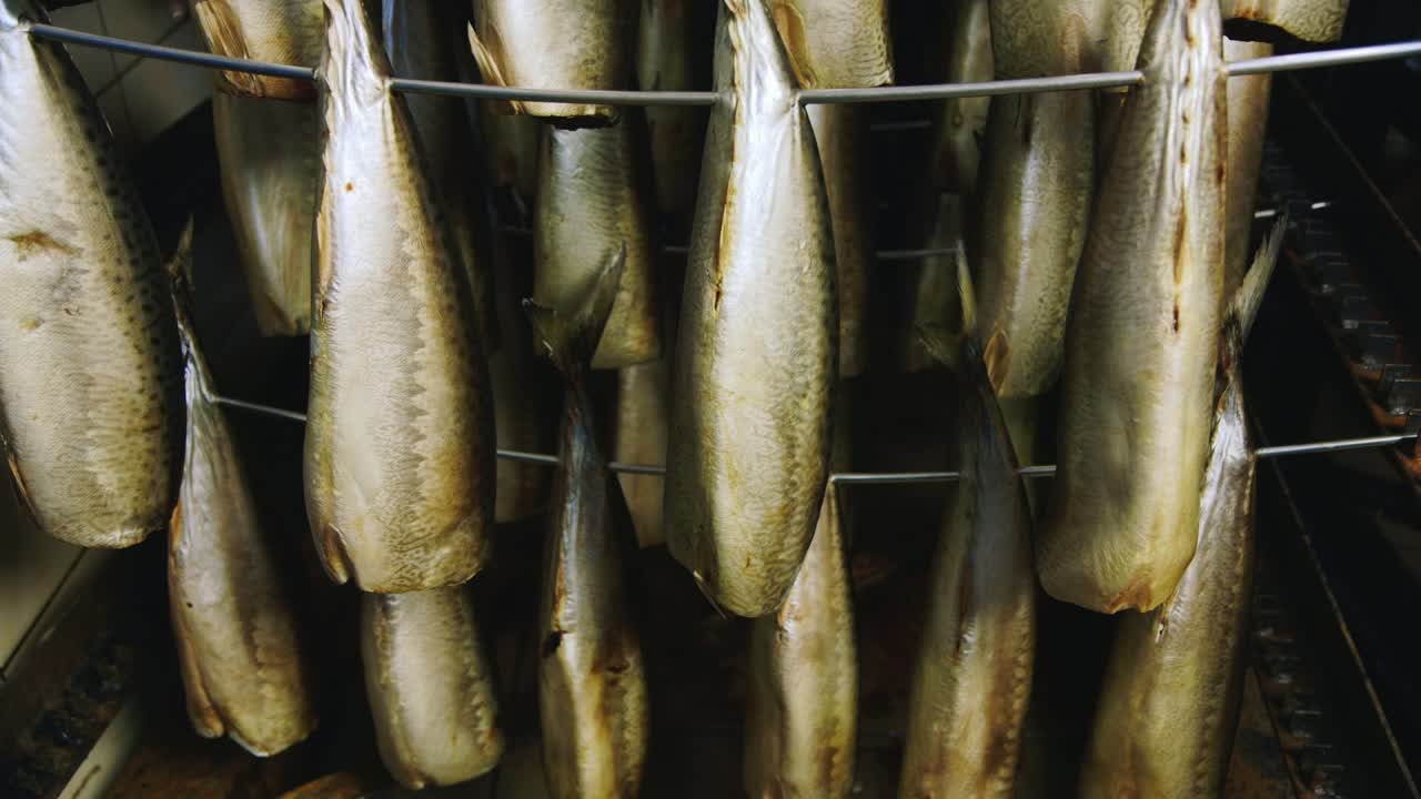 Premium stock video - Fish rack prepared for smoking 2