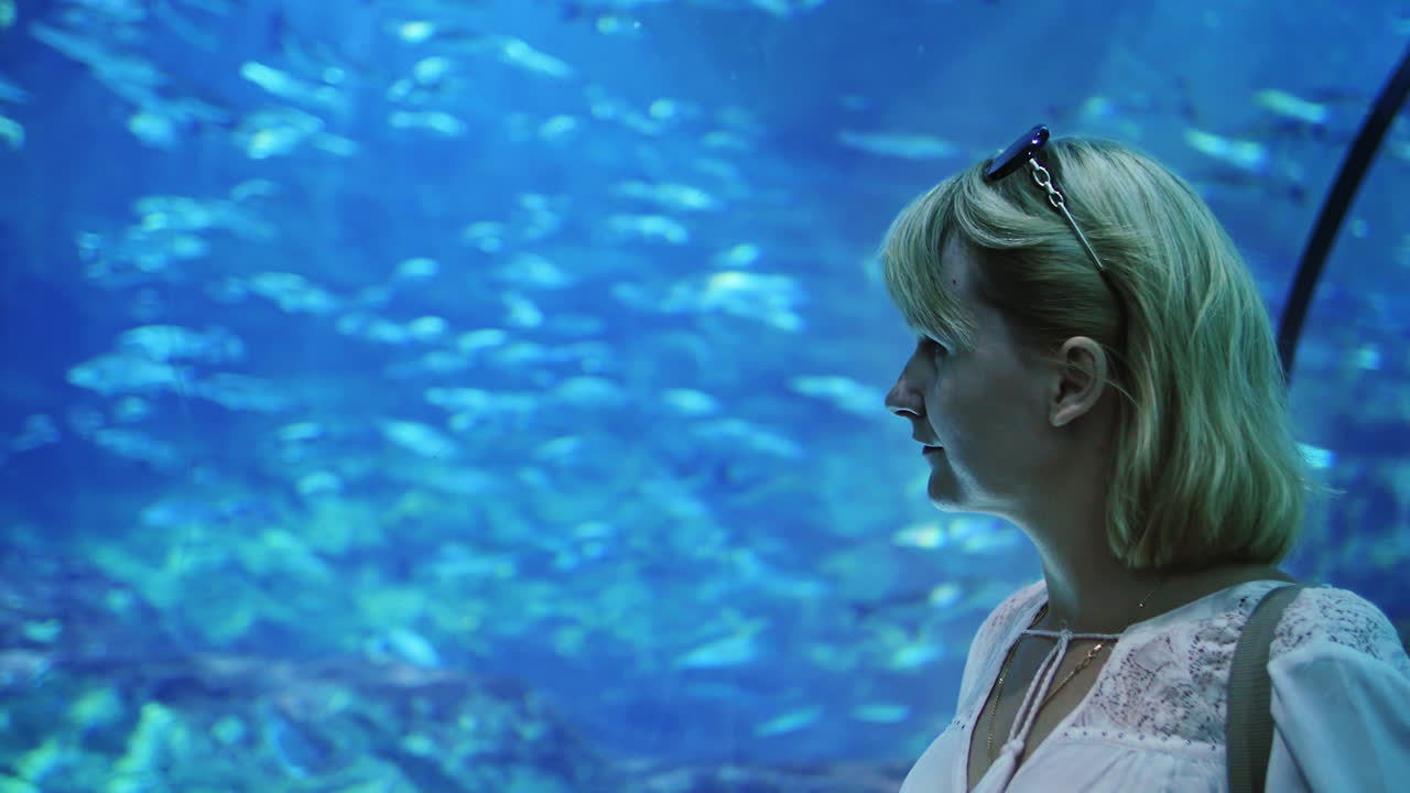 Premium stock video - A woman admires the underwater world in an aquarium