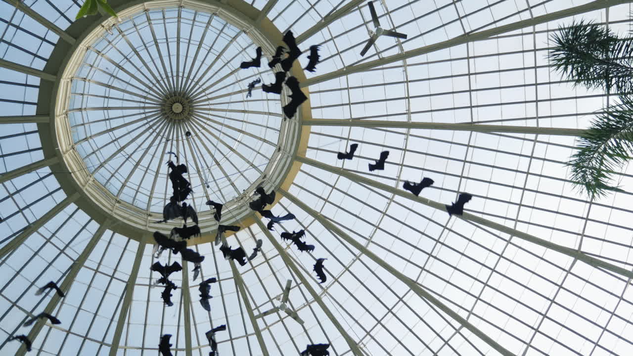 Premium stock video - A large glass dome with decor in the form of bats
