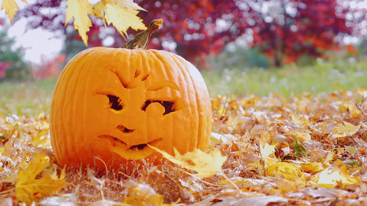 Premium stock video - Close-up face carved into a pumpkin