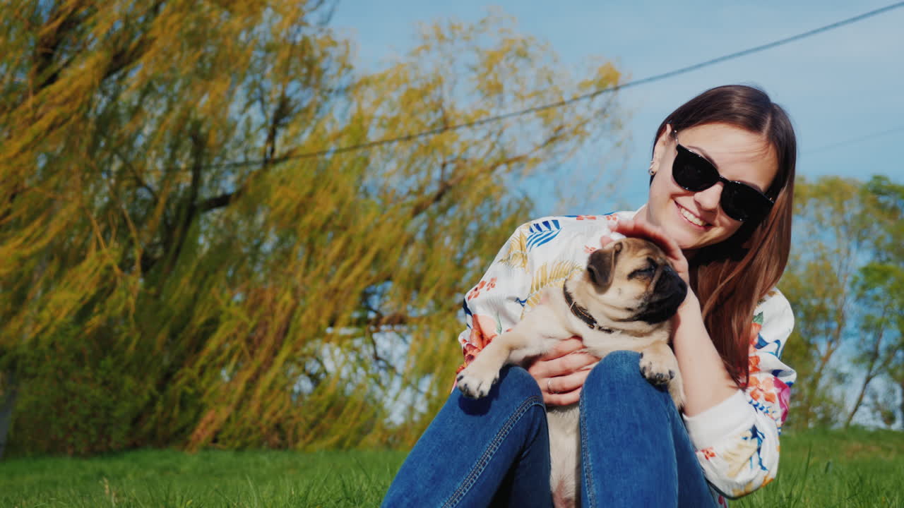 Premium stock video - Rest in the park with a dog and snack on the go ...