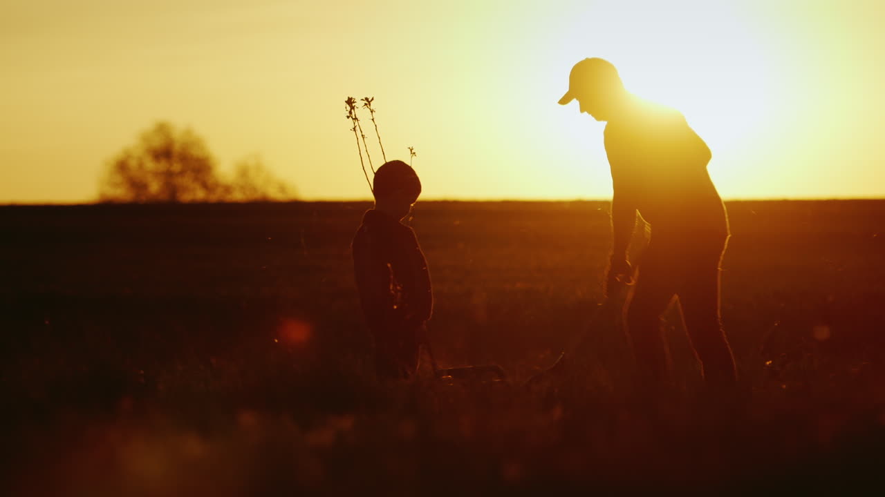 Premium stock video - Father and son planting a tree