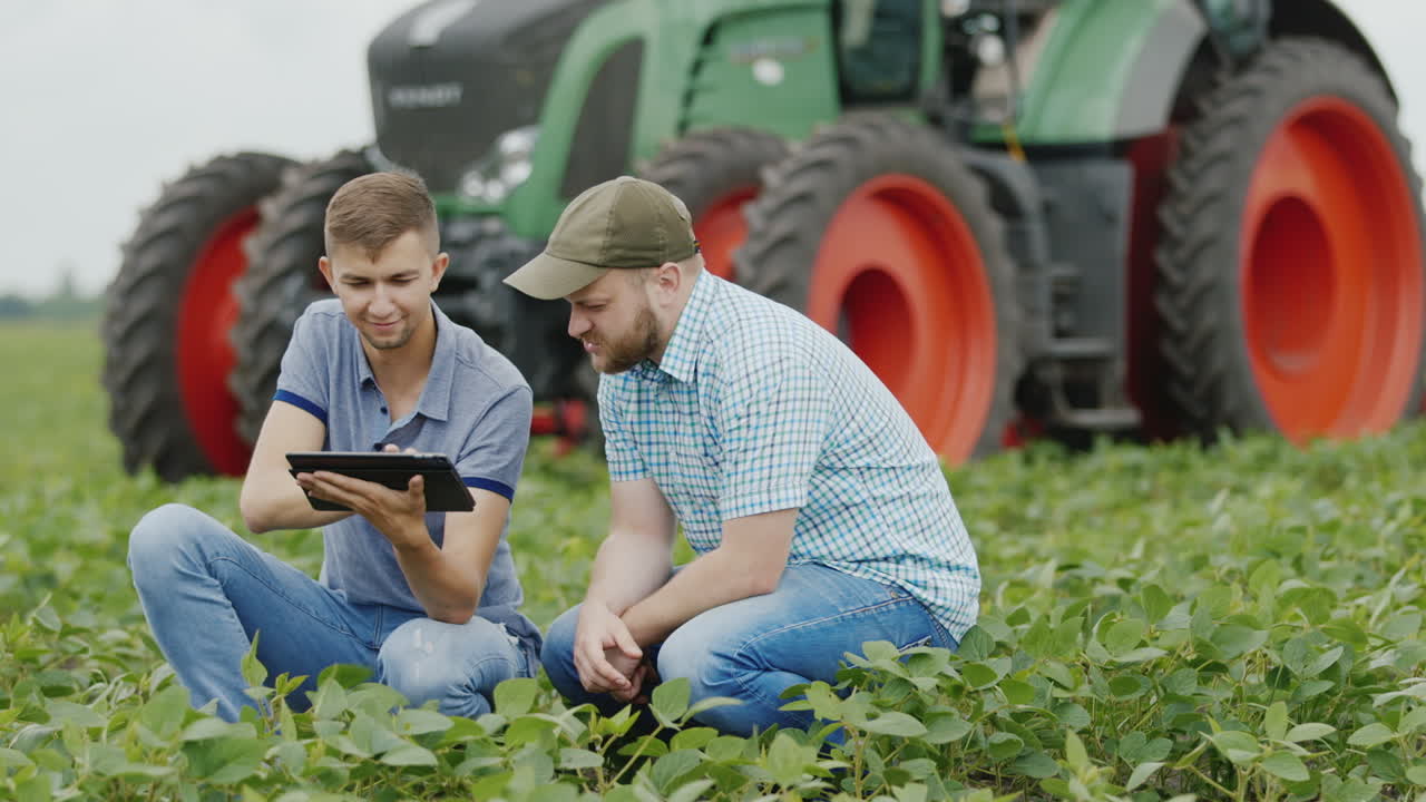 Premium stock video - Two young farmers working on the field with soybeans