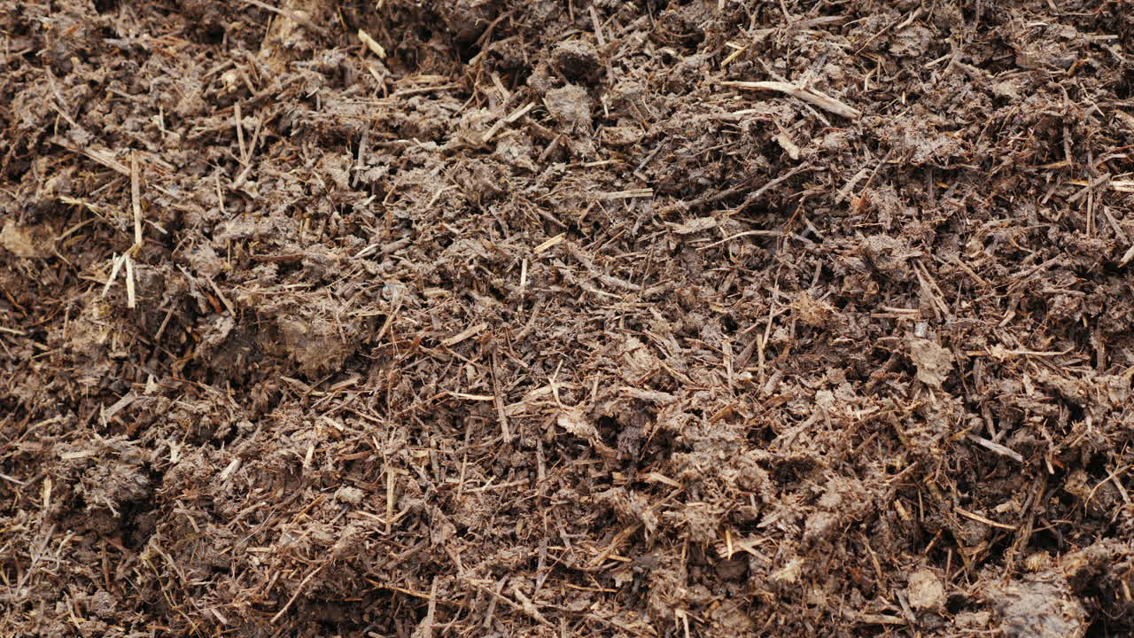 Premium stock video - Organic fertilizer - compost or humus 1