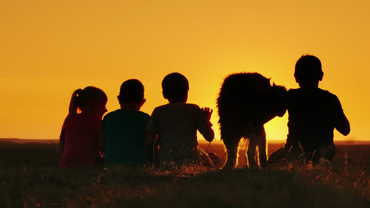 Premium stock video - A group of children admire the sunset