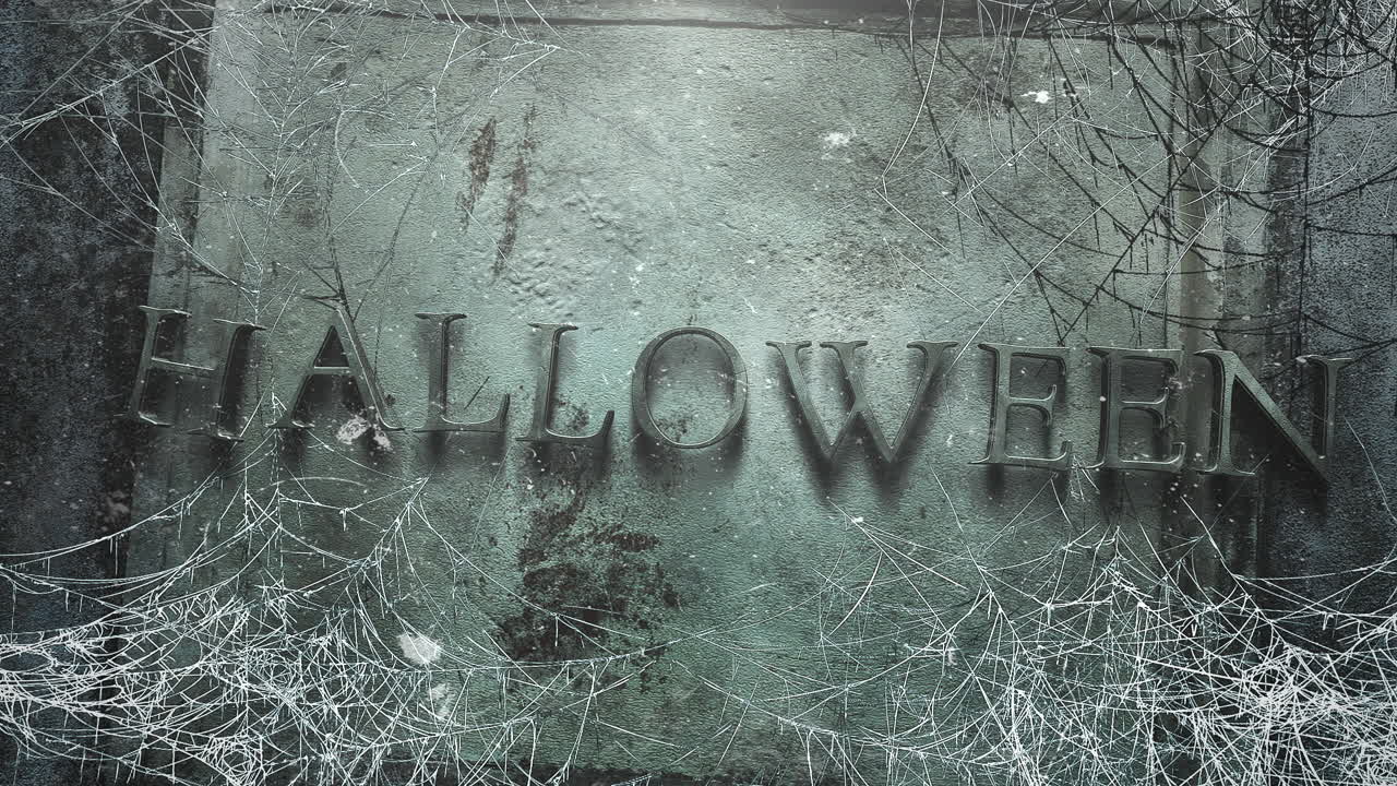 Premium stock video - Halloween with spider web on grunge wall