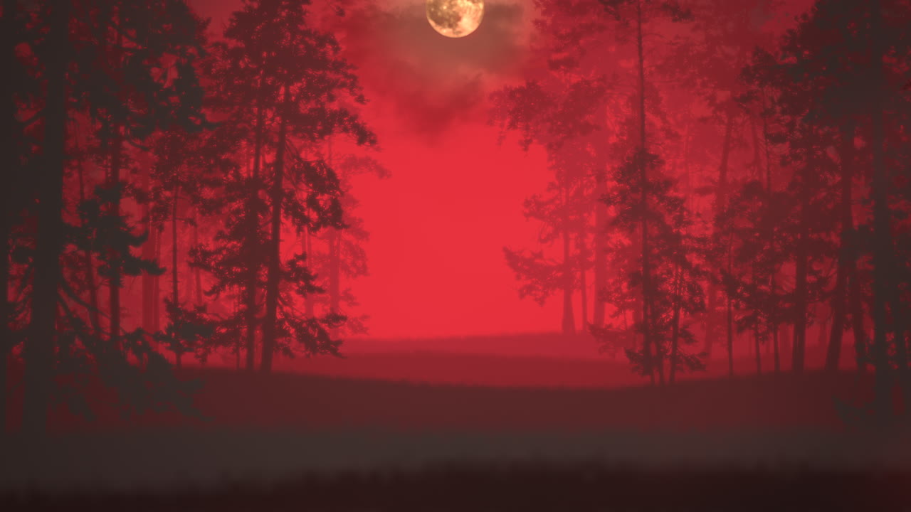 Premium stock video - Mystical red moon and forest in night