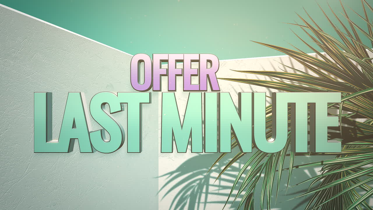 Premium stock video - Last minute offer with tropical palm in room for ...
