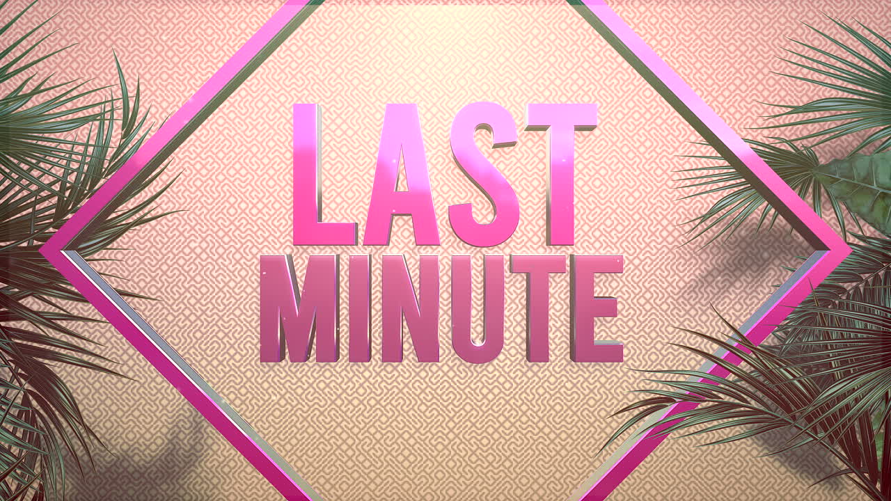 Premium stock video - Last minute offer in pink frame with tropical palms