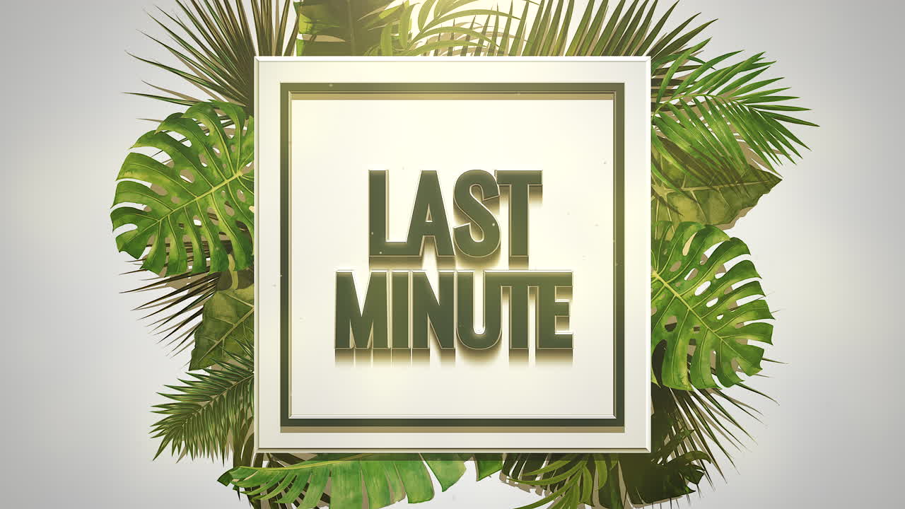 Premium stock video - Last minute with tropical leafs and gold frame